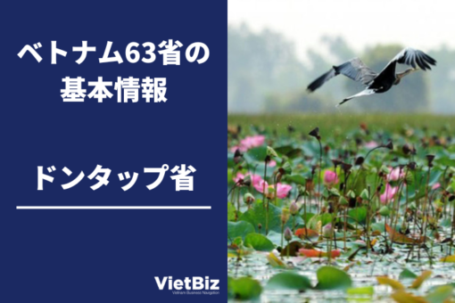 ベトナム市場でのマーケティングはMTよりもTTが推奨される理由 - VietBiz（ベトビズ）