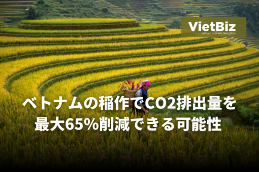 ベトナム、地区レベル行政を廃止 2025年7月から新体制へ移行 - VietBiz（ベトビズ）